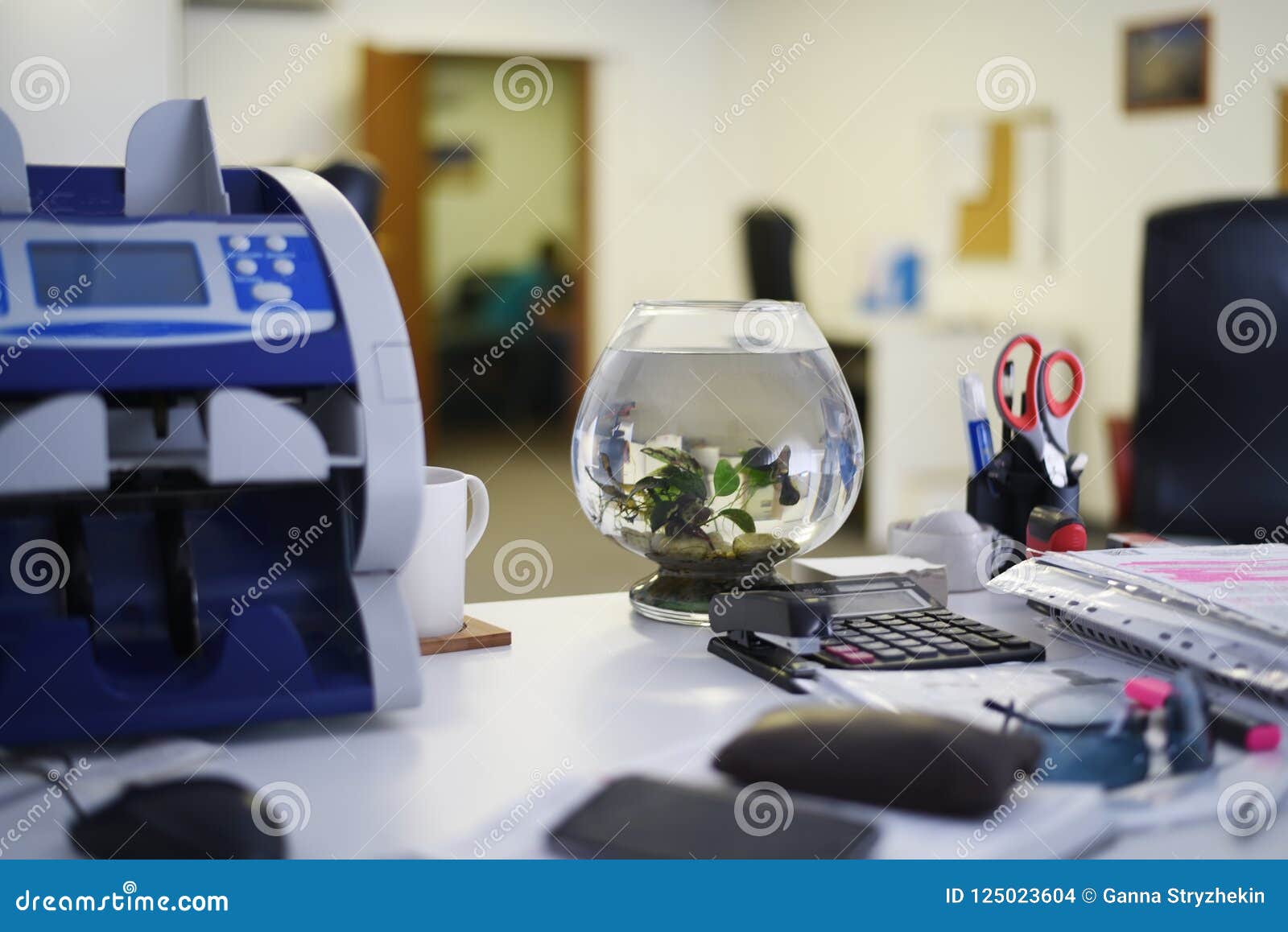 The Desk in the Office Room with Different Items. Working Conditions ...