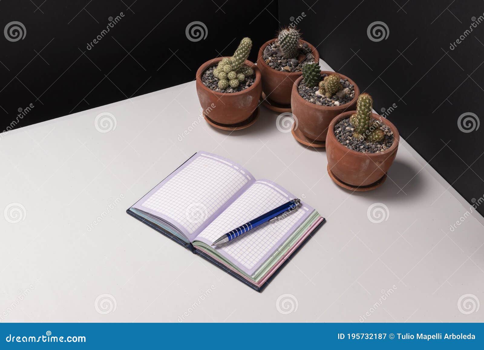 Desktop Still Life with Plants. Stock Image - Image of ideas, emotion ...