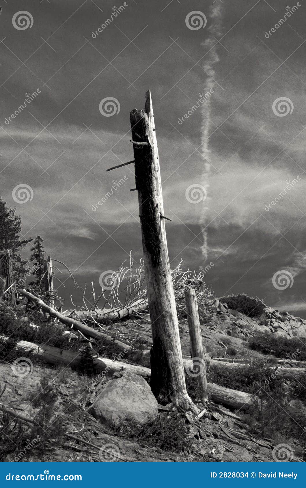 Desolate stock photo. Image of devastating, remains, white - 2828034