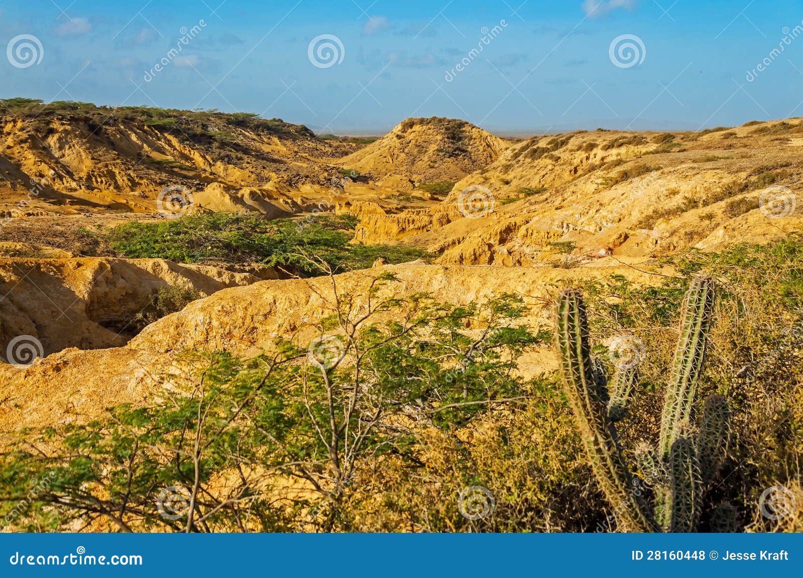 Desolate Desert Landscape stock photo. Image of scenic - 28160448