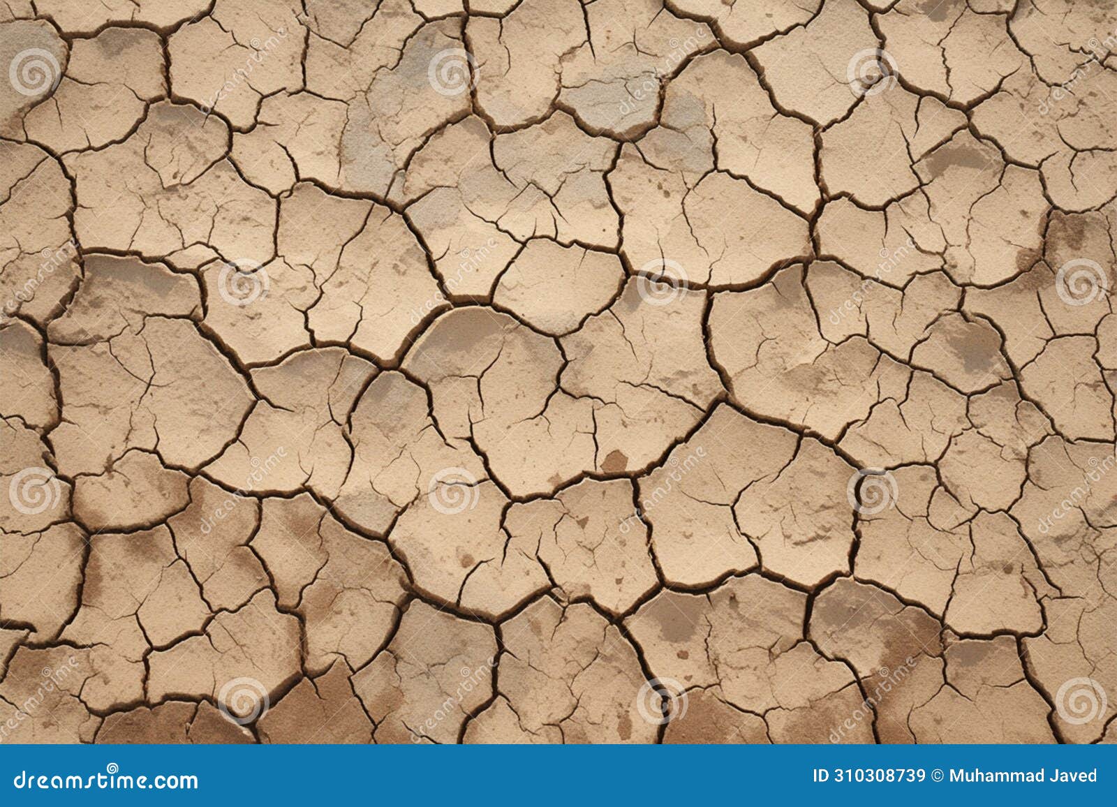 Desolate Earth Background Of Parched And Cracked Dry Ground Royalty ...