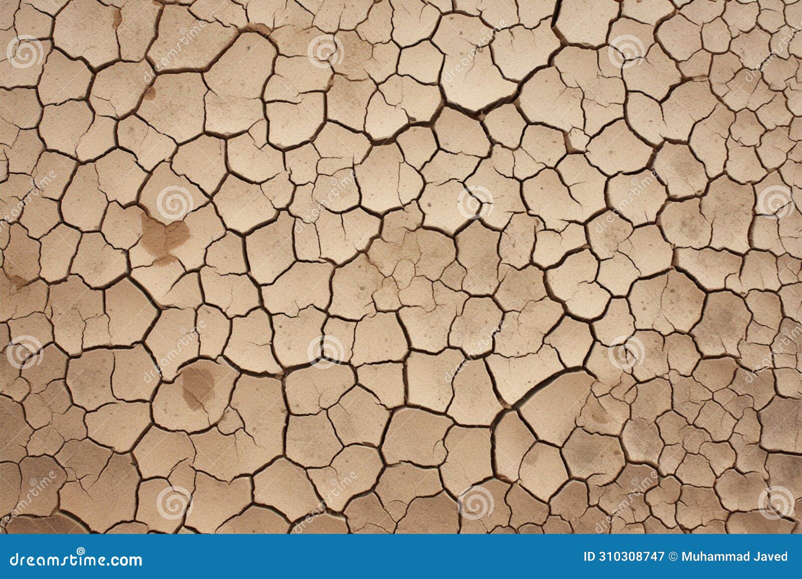 Desolate Earth Background of Parched and Cracked Dry Ground Stock ...