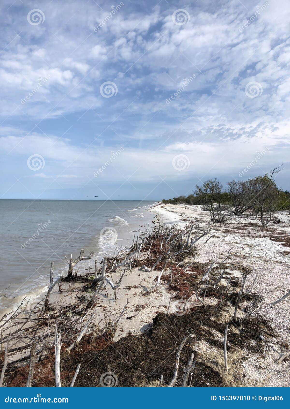 1,505 Desolate Island Beach Photos - Free & Royalty-Free Stock Photos ...