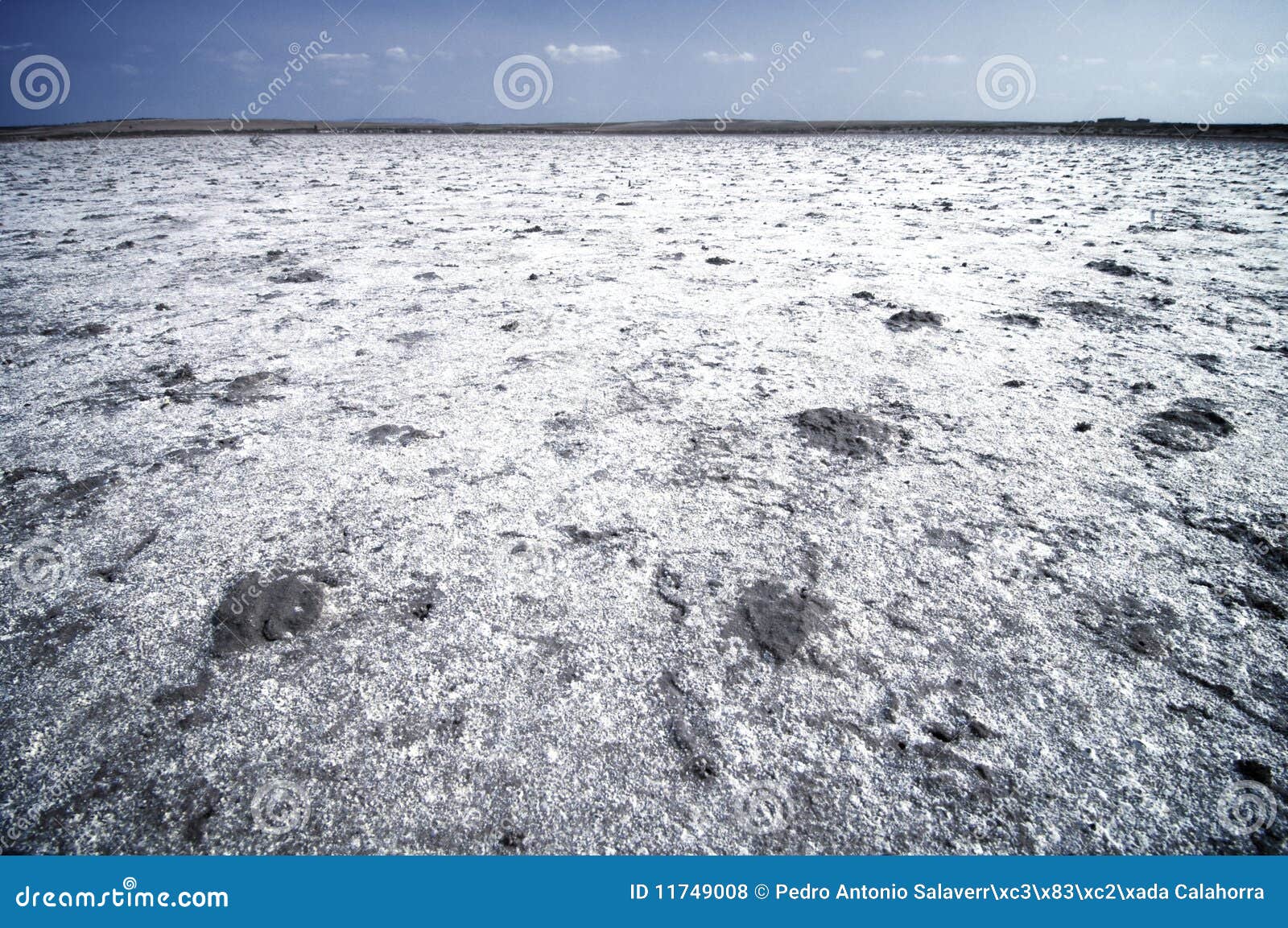 Desolate landscape stock photo. Image of copyspace, outside - 11749008