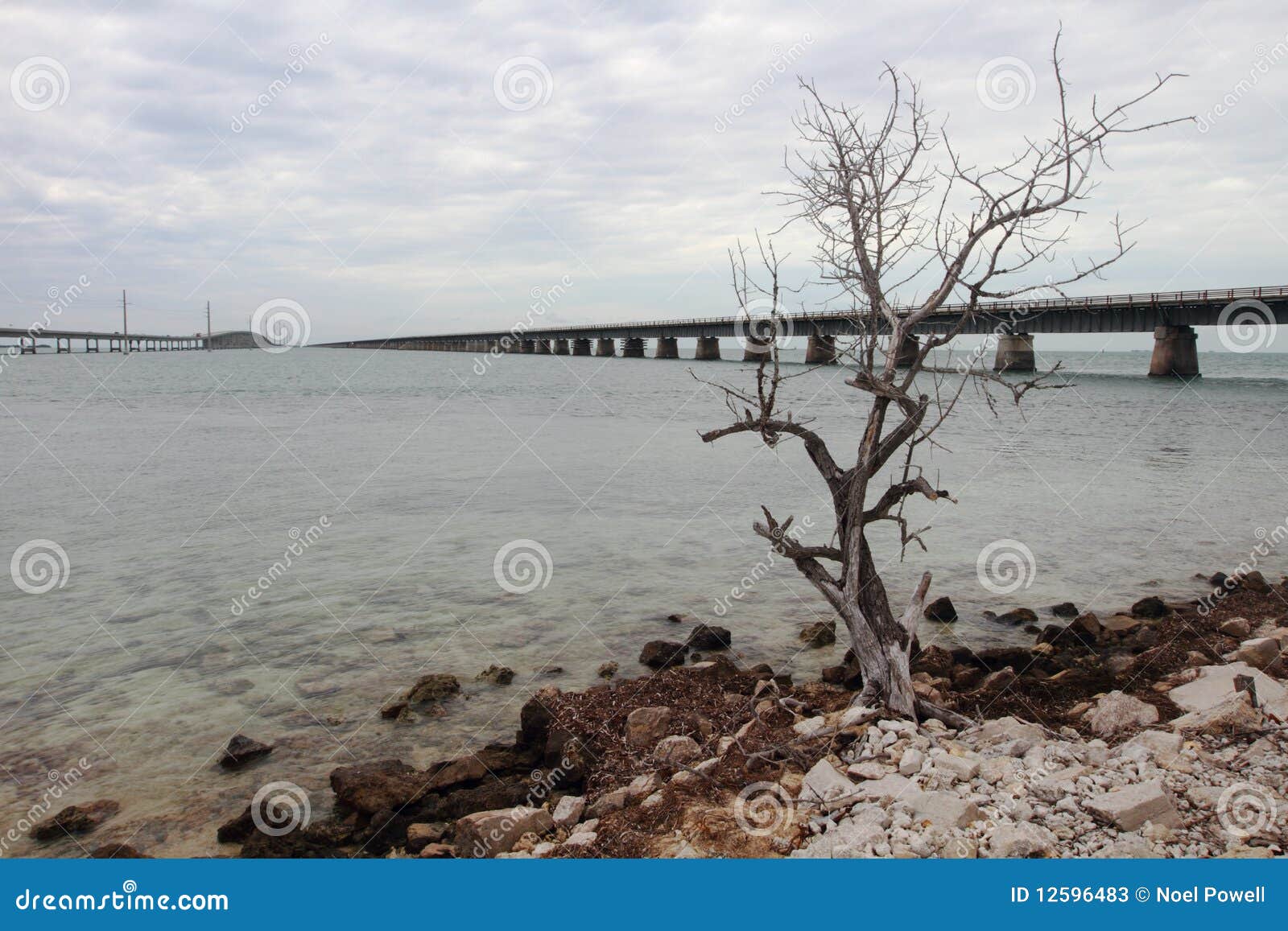 Desolate Landscape stock image. Image of keys, road, barren - 12596483
