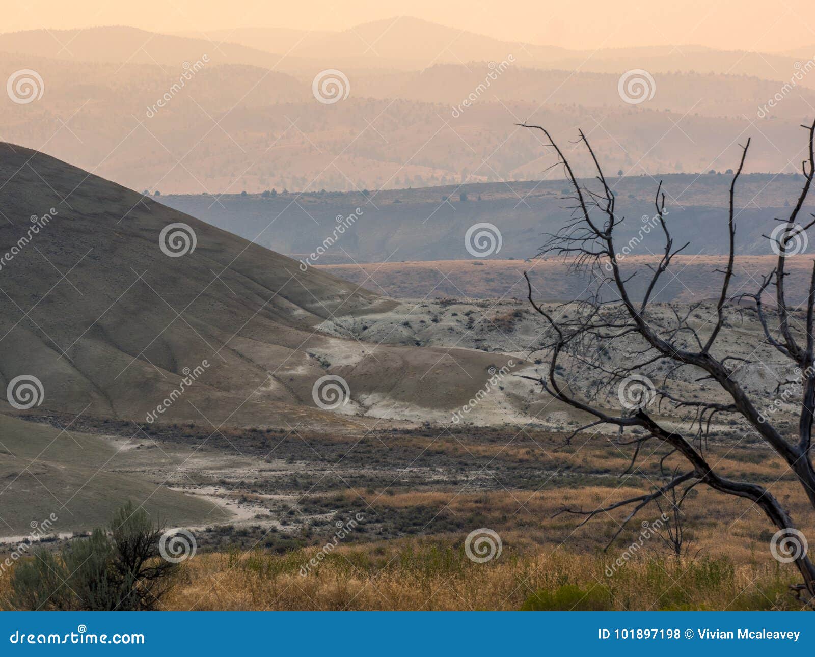 Desolate landscape stock photo. Image of john, hill - 101897198