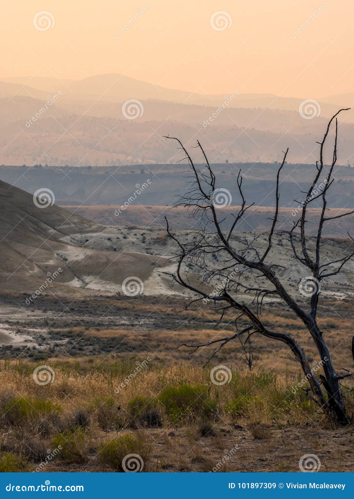 Desolate landscape stock image. Image of tree, painted - 101897309