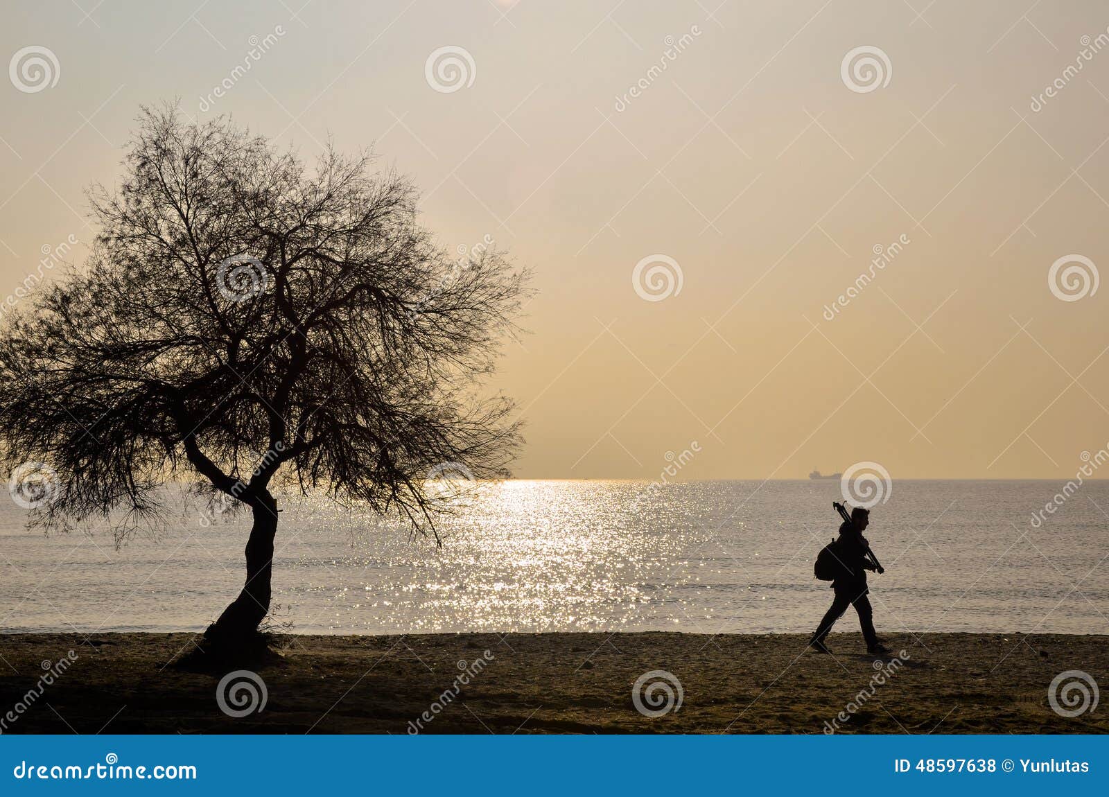 Desolate Man and Alone Trees Stock Photo - Image of leafless ...