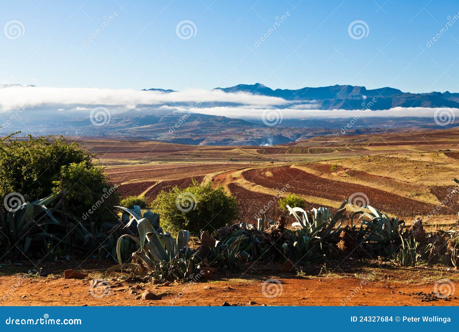 Desolate Mountain Landscape with Catuses Stock Photo - Image of hills ...
