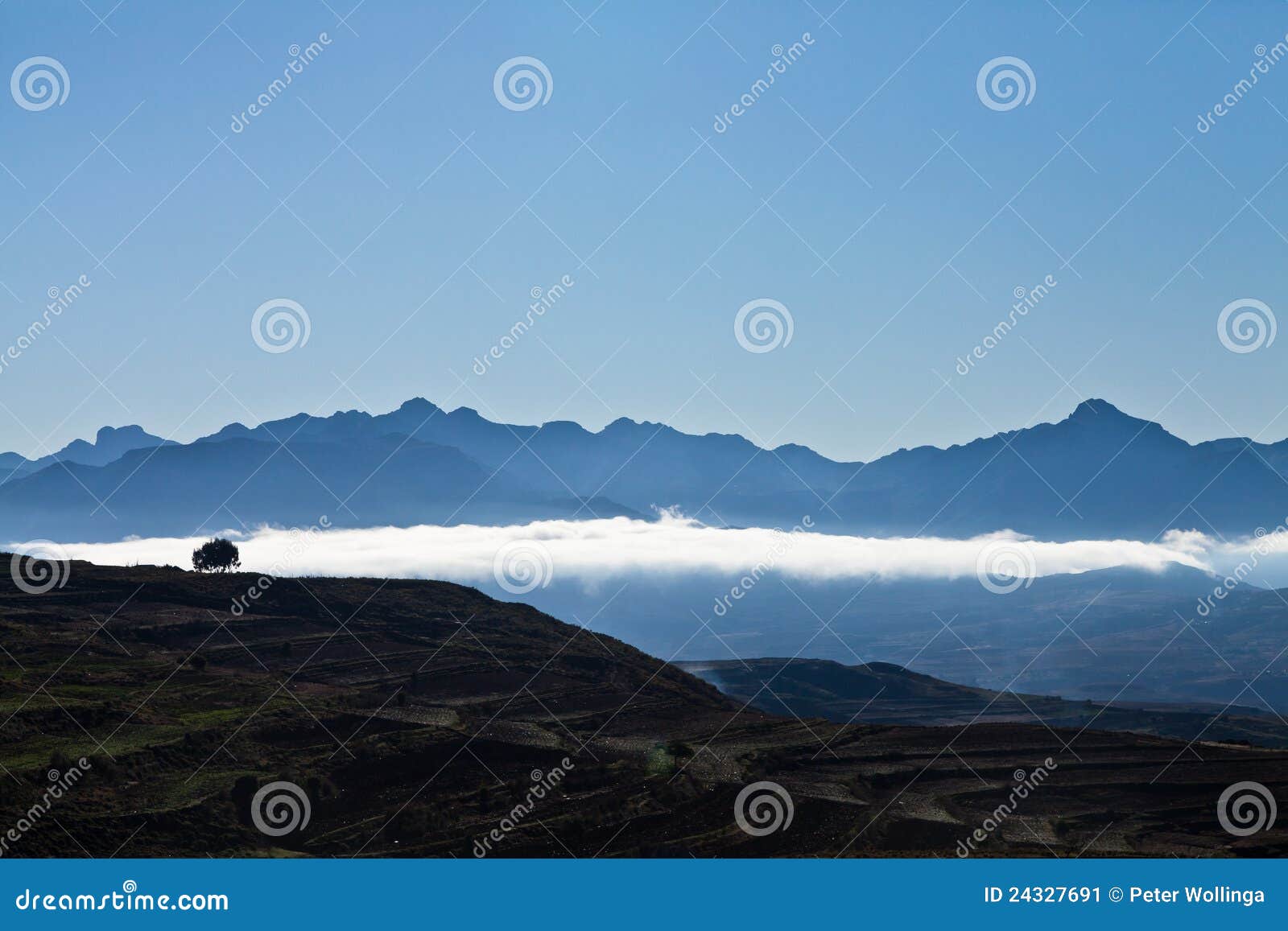 Desolate Mountain Landscape with Tree Stock Image - Image of unspoiled ...