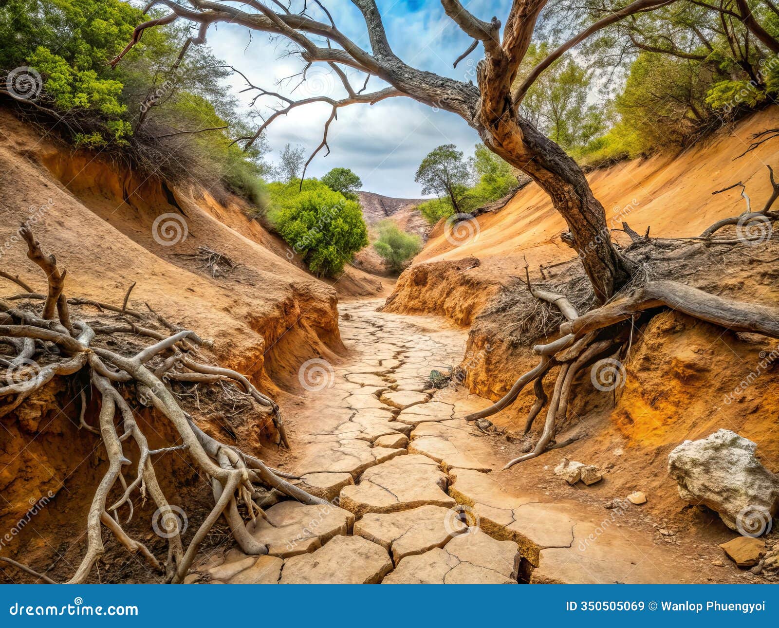 A Desolate Path To the Abyss Cracked Earth Fallen Branches and a ...