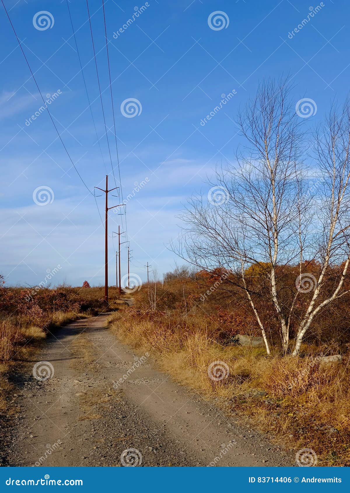 Desolate Road stock photo. Image of area, country, runs - 83714406