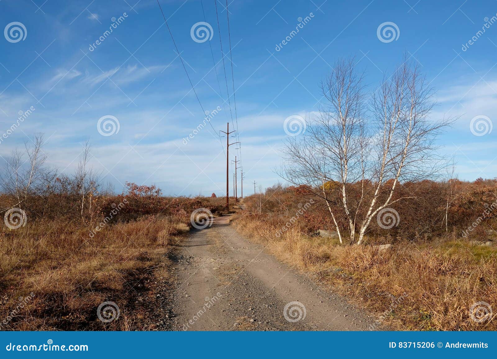 Desolate Road stock photo. Image of electric, runs, line - 83715206