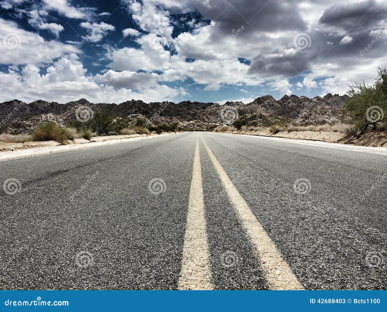 Desolate Road With Haze, Seen Through A Tree Stock Photo ...