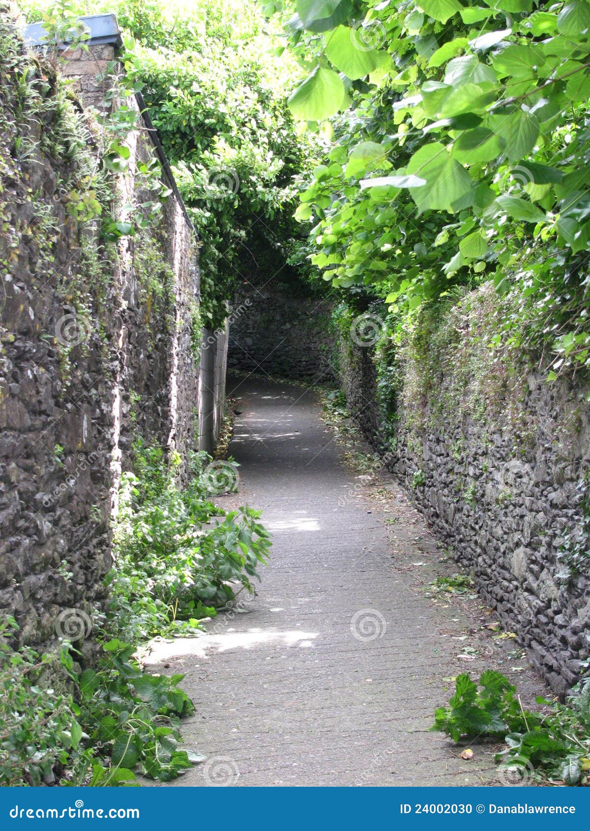 Desolate rock wall path stock photo. Image of green, tranquil - 24002030