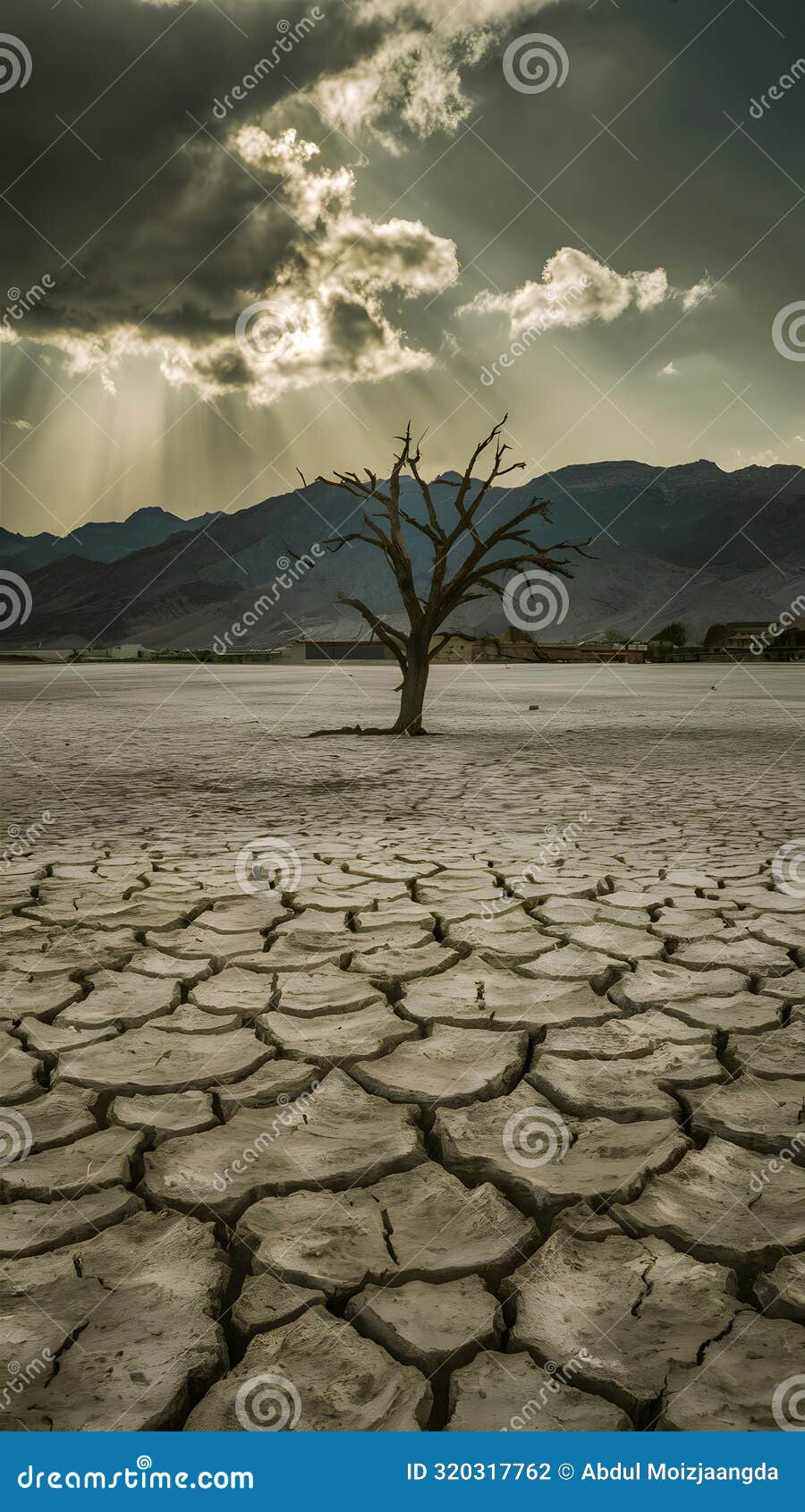 Desolate Scene with Cracked Earth, Lone Tree, Mountains, Buildings ...