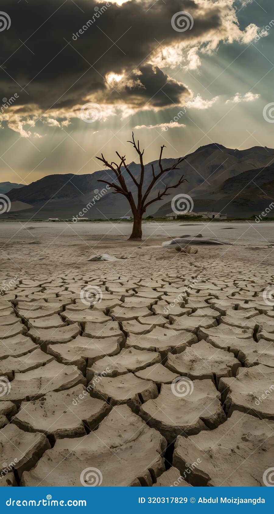 Desolate Scene with Cracked Earth, Lone Tree, Mountains, Buildings ...