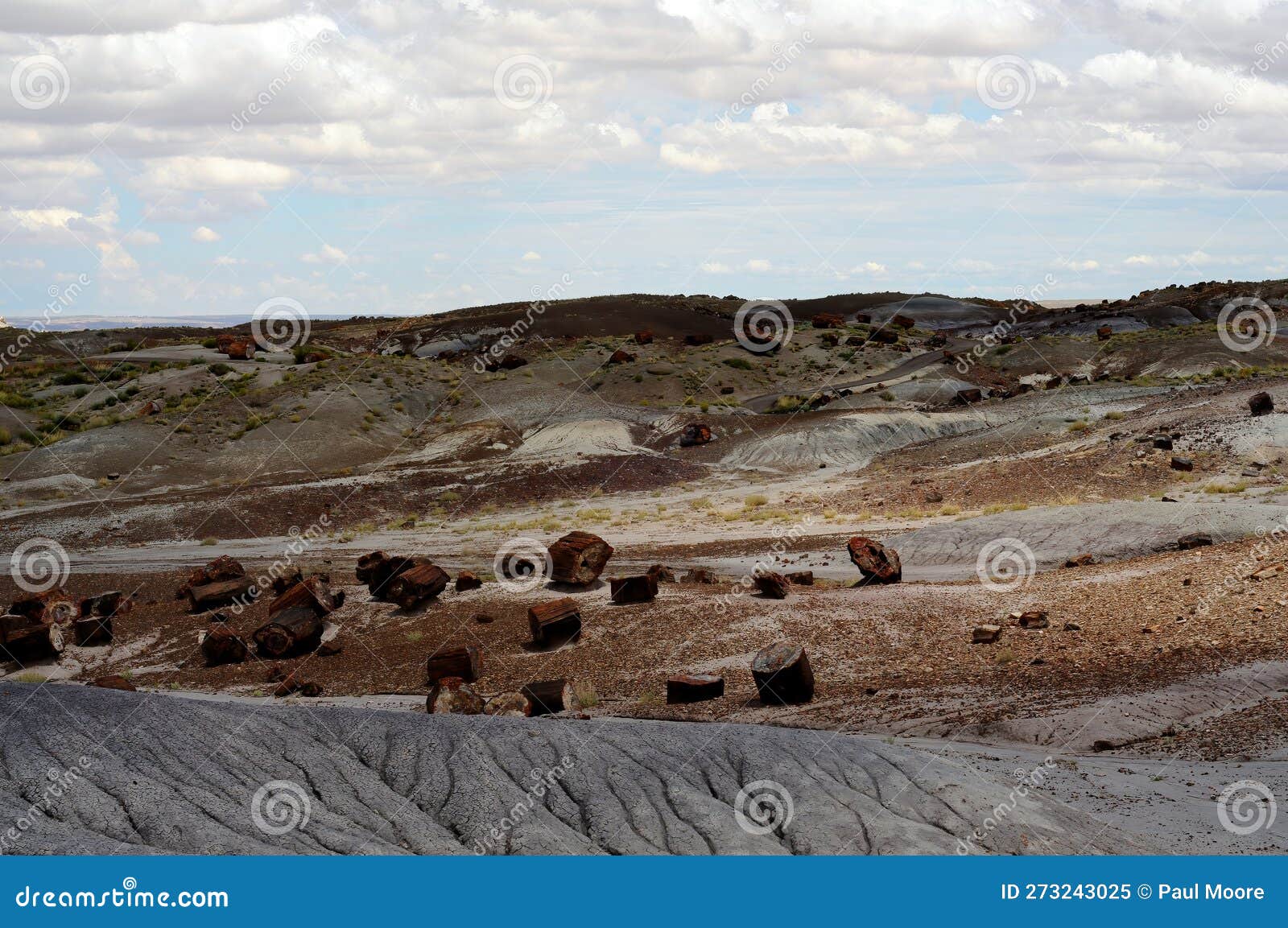 Desolate Landscape Petrified Forest Arizona Stock Image - Image of ...