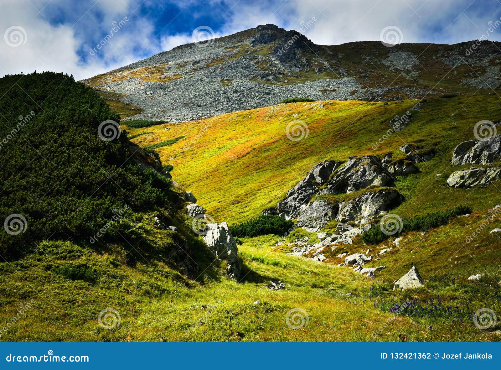 A Desolate Stone Field High in the Mountains Stock Photo - Image of ...