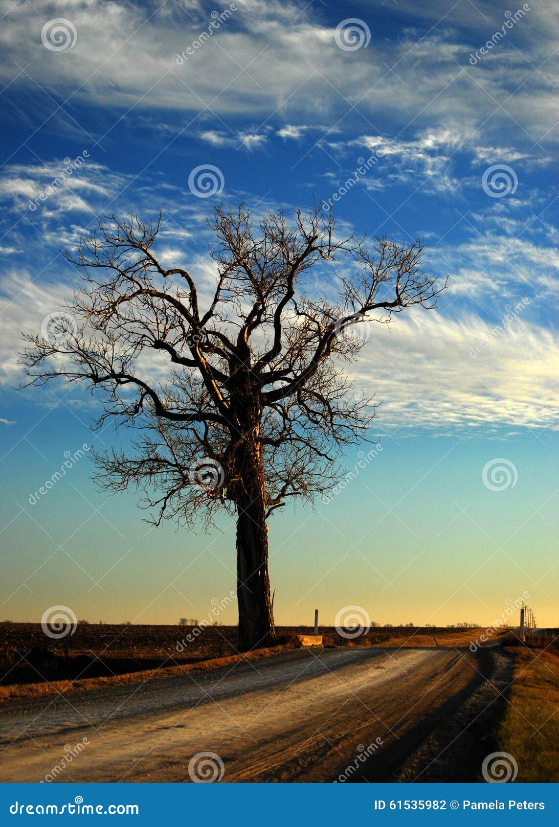 Desolate stock photo. Image of skies, states, environmental - 61535982