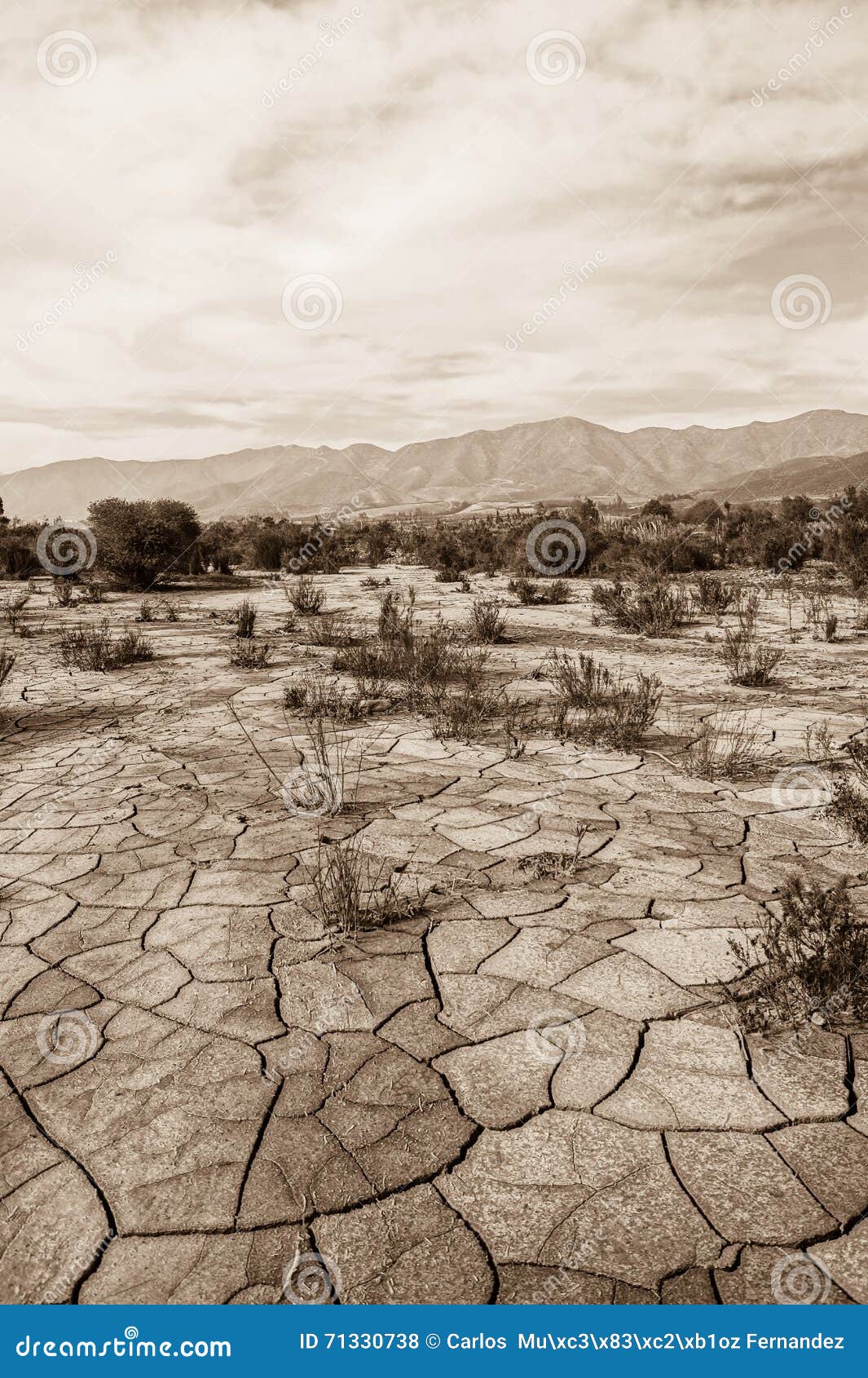 Desolate wilderness stock photo. Image of landscape, field - 71330738