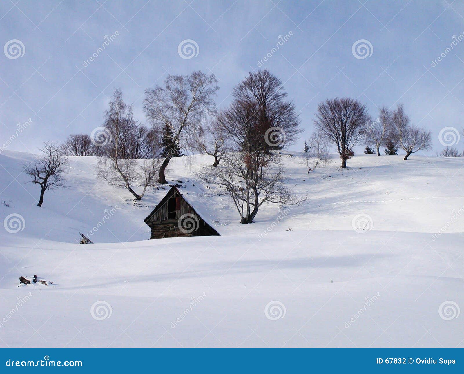 Desolated House - Chalet Picture. Image: 67832