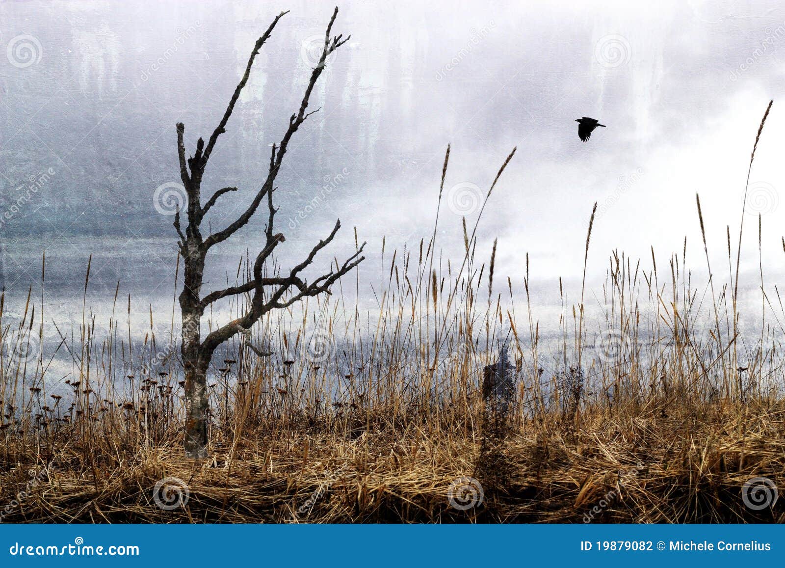 Desolation stock photo. Image of grey, winter, scene - 19879082