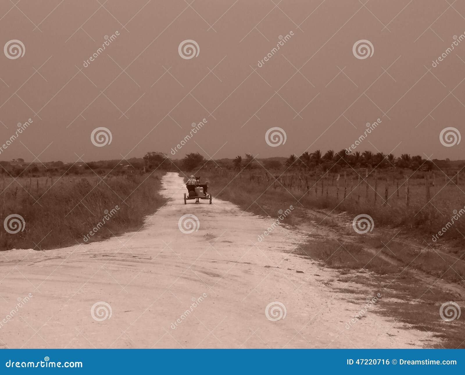 Desolation stock photo. Image of mennonite, desolation - 47220716