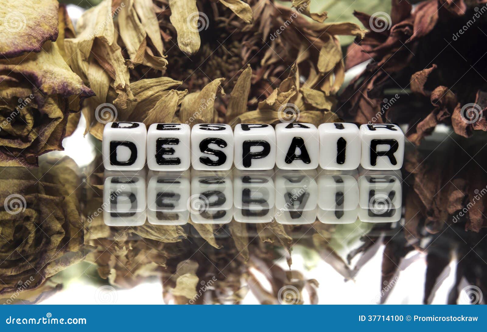 Despair stock photo. Image of nature, romance, natural - 37714100