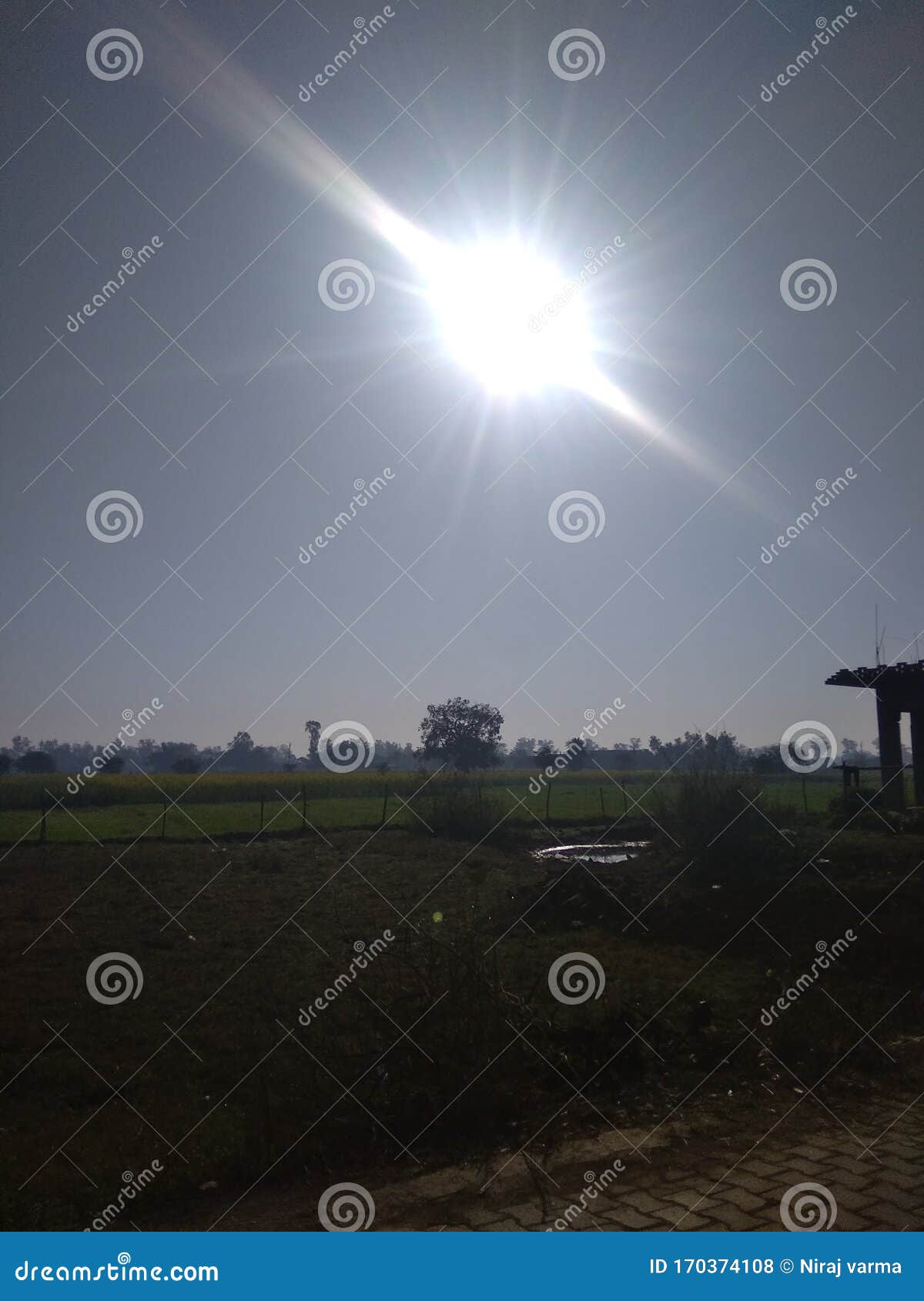 Desperation of Light of Sun India Nature is Good Stock Photo - Image of ...