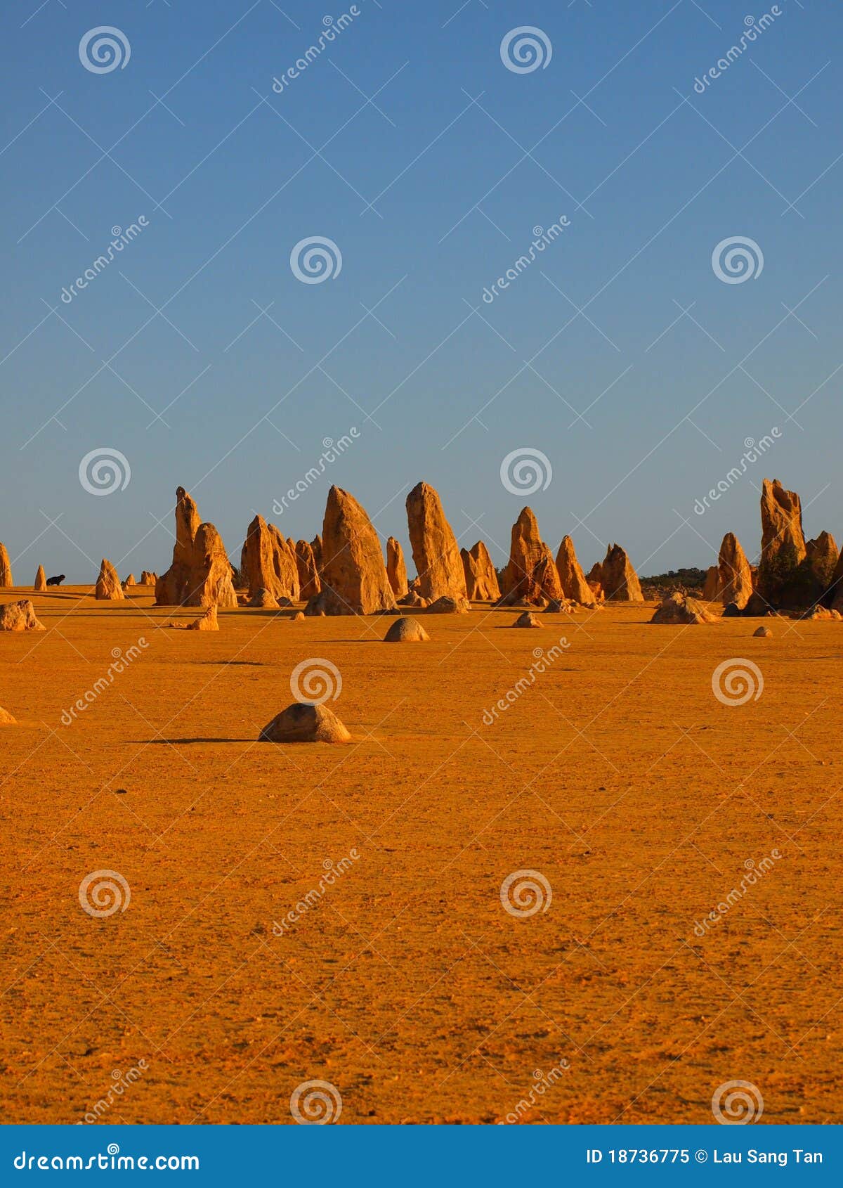 Dessert Pinnacles stock image. Image of tombstones, australia - 18736775