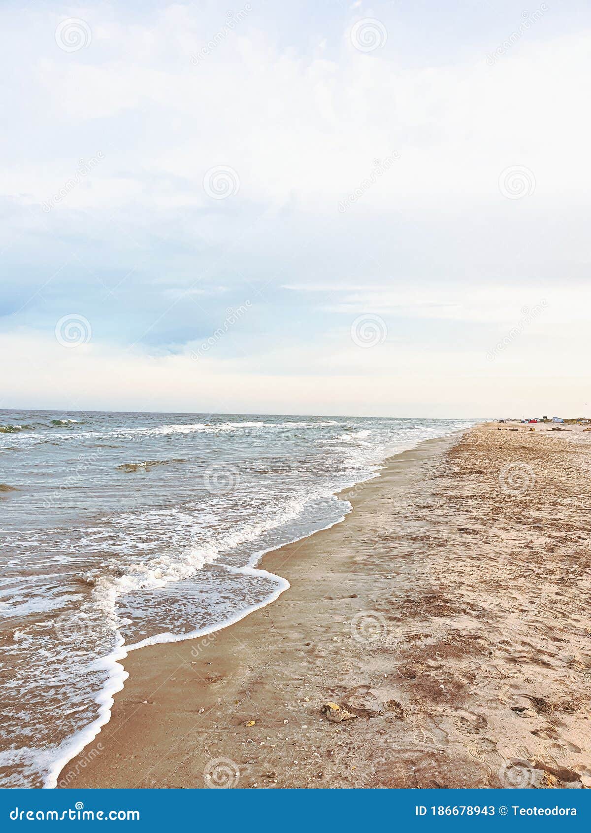 Desserted beach shore stock image. Image of desserted - 186678943