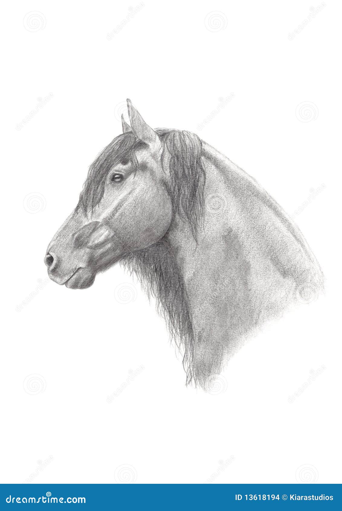 Dessin Au Crayon De Graphite D'un Cheval Frison Illustration Stock ...