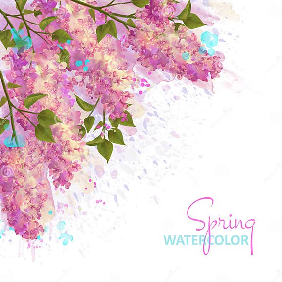 Dessin D'aquarelle De Lilas Illustration Stock - Illustration du ...