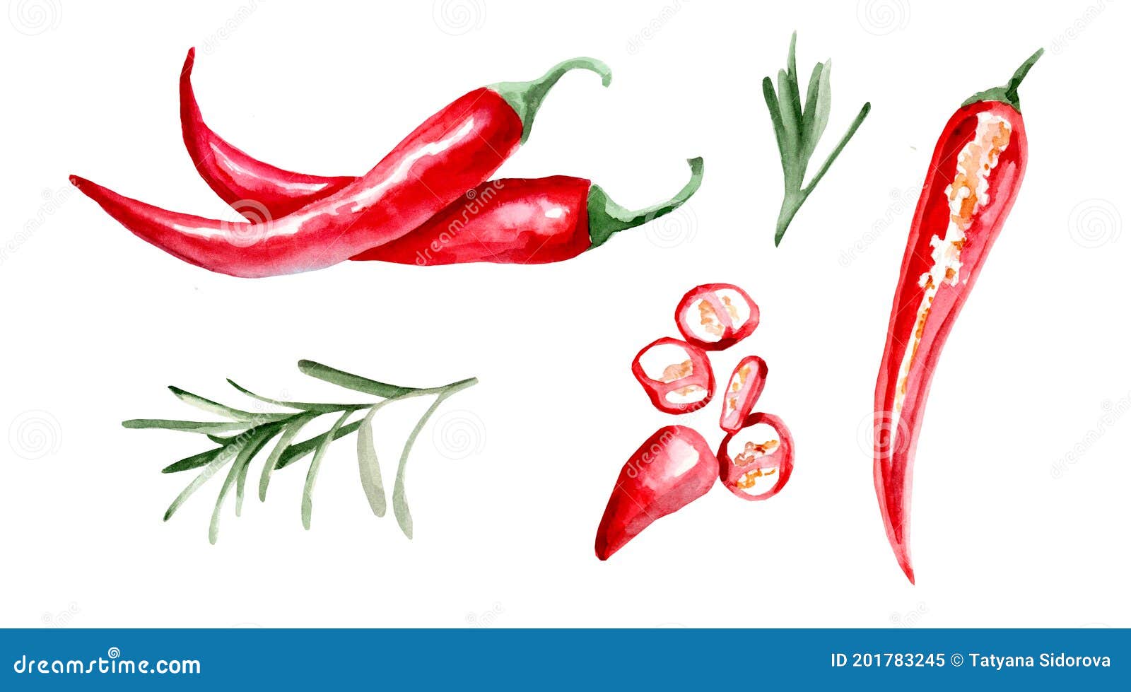 Dessin d'aquarelle piments illustration stock. Illustration du fond ...