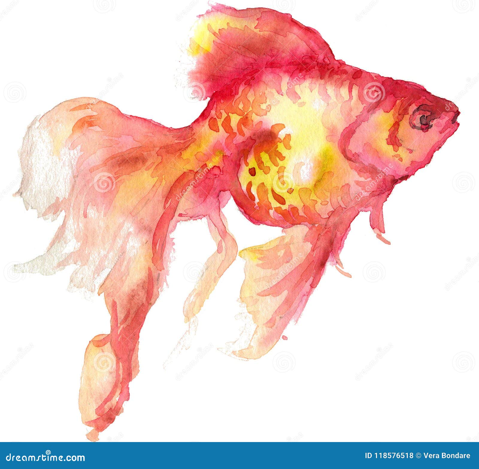 Dessin D'aquarelle D'un Poisson Rouge Illustration Stock - Illustration ...