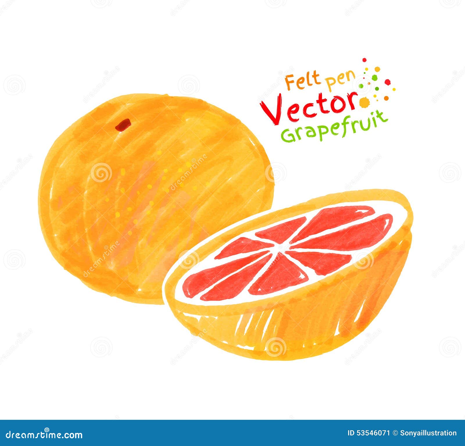 Dessin D'enfant De Pamplemousse Illustration de Vecteur - Illustration ...