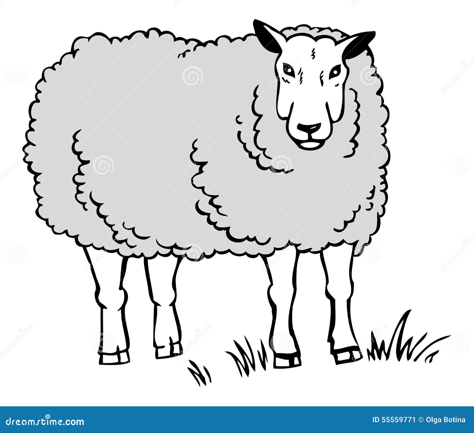 Dessin d'un mouton illustration de vecteur. Illustration du vecteur ...