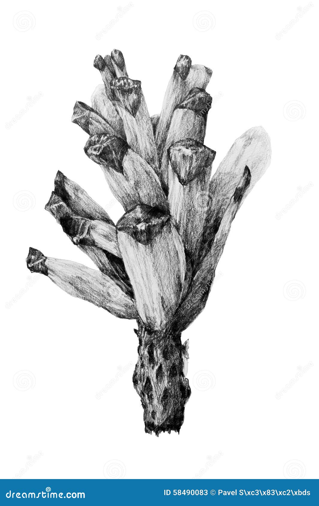 Dessin de cône impeccable illustration stock. Illustration du ...