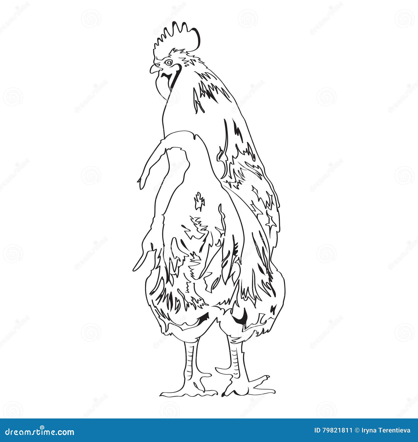 Dessin De Croquis D'un Coq 4 Illustration de Vecteur - Illustration du ...