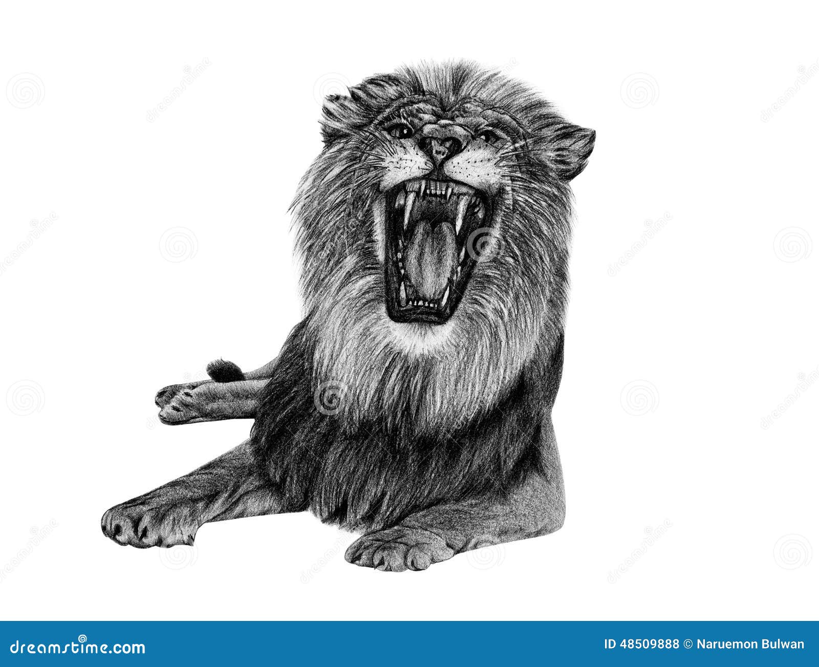 Dessin de lion de crayon illustration stock. Illustration du découpage ...