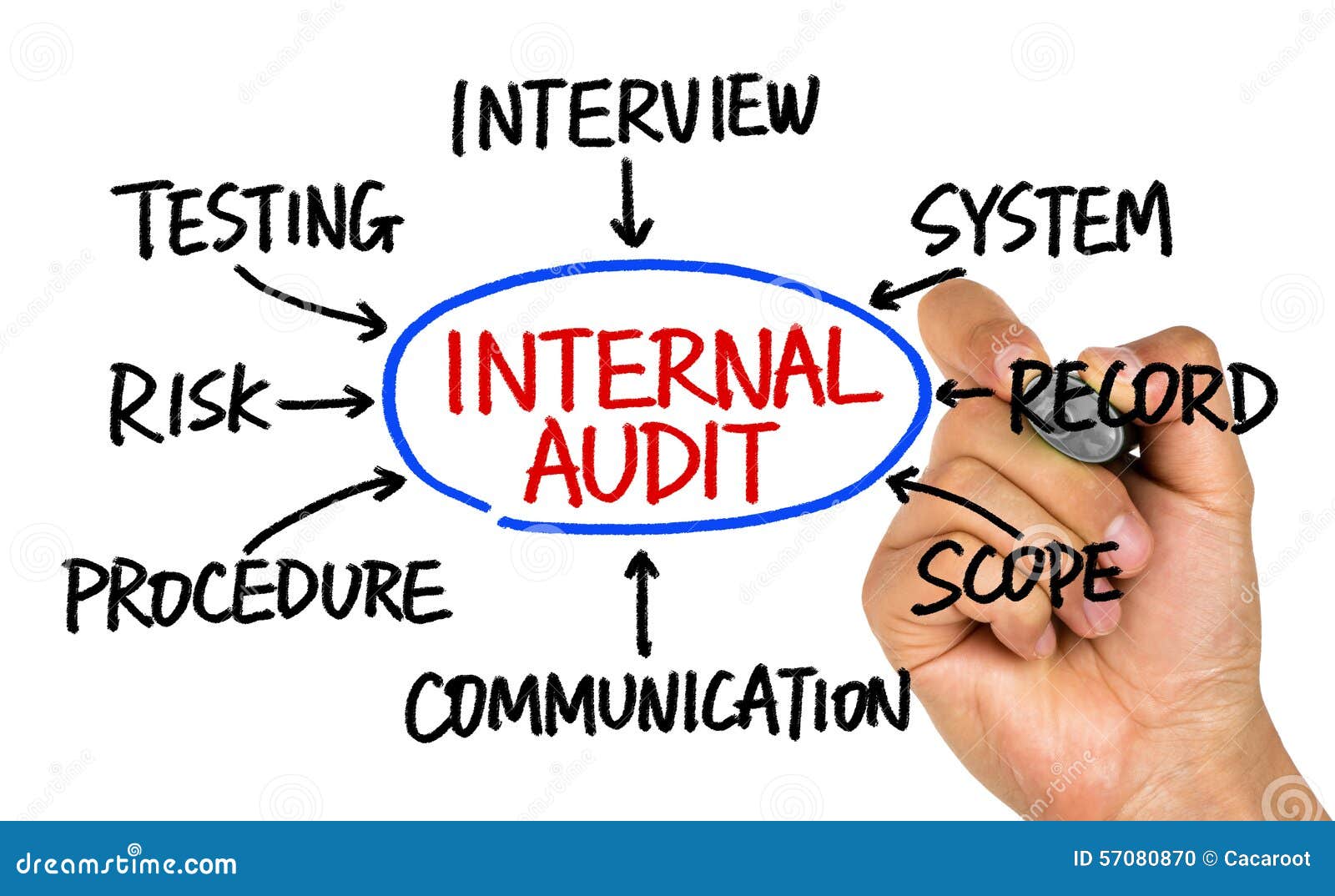 Dessin De Main D'organigramme D'audit Interne Sur Le Tableau Blanc ...