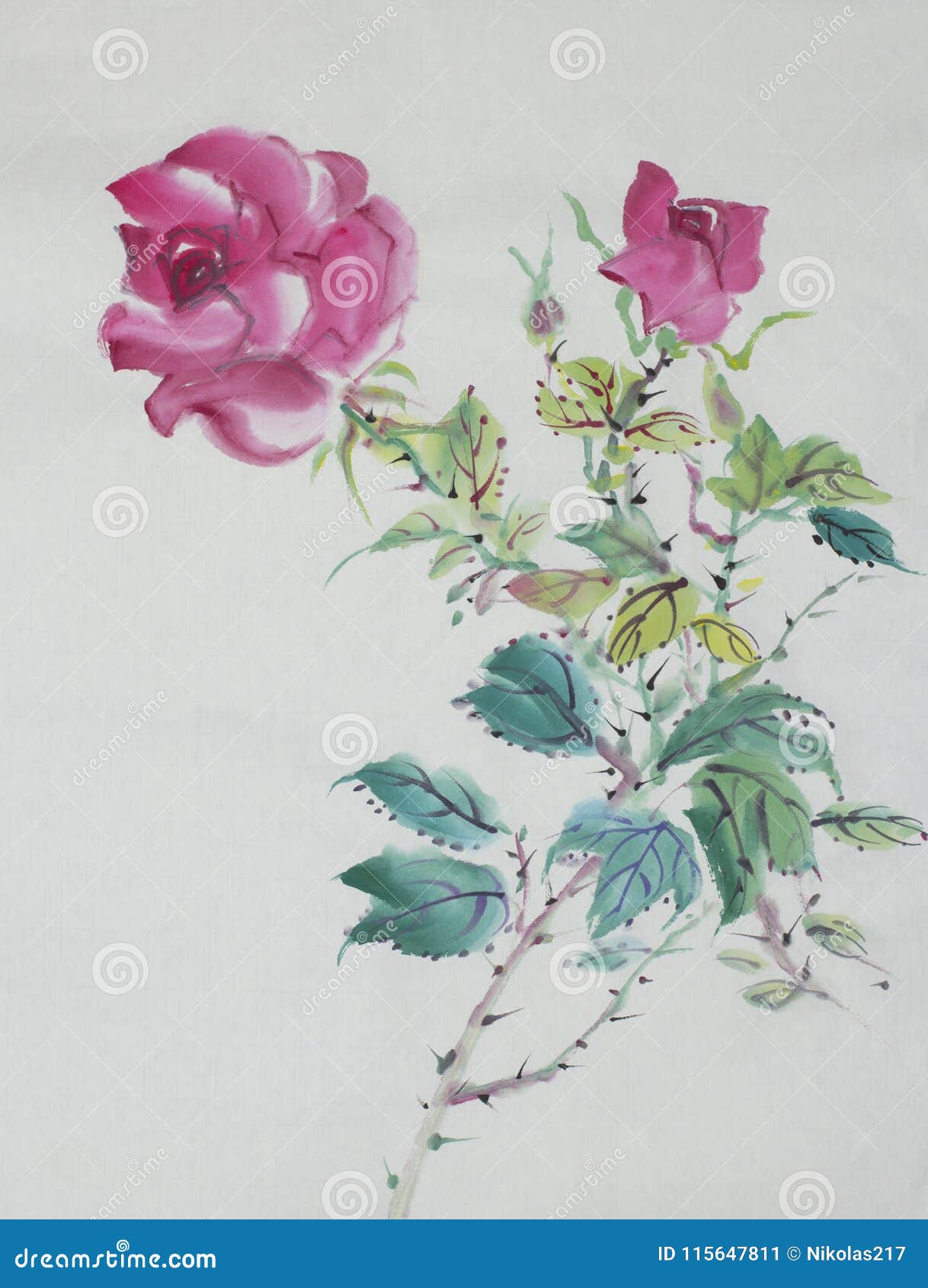 Dessin de rosier illustration stock. Illustration du ressort - 115647811