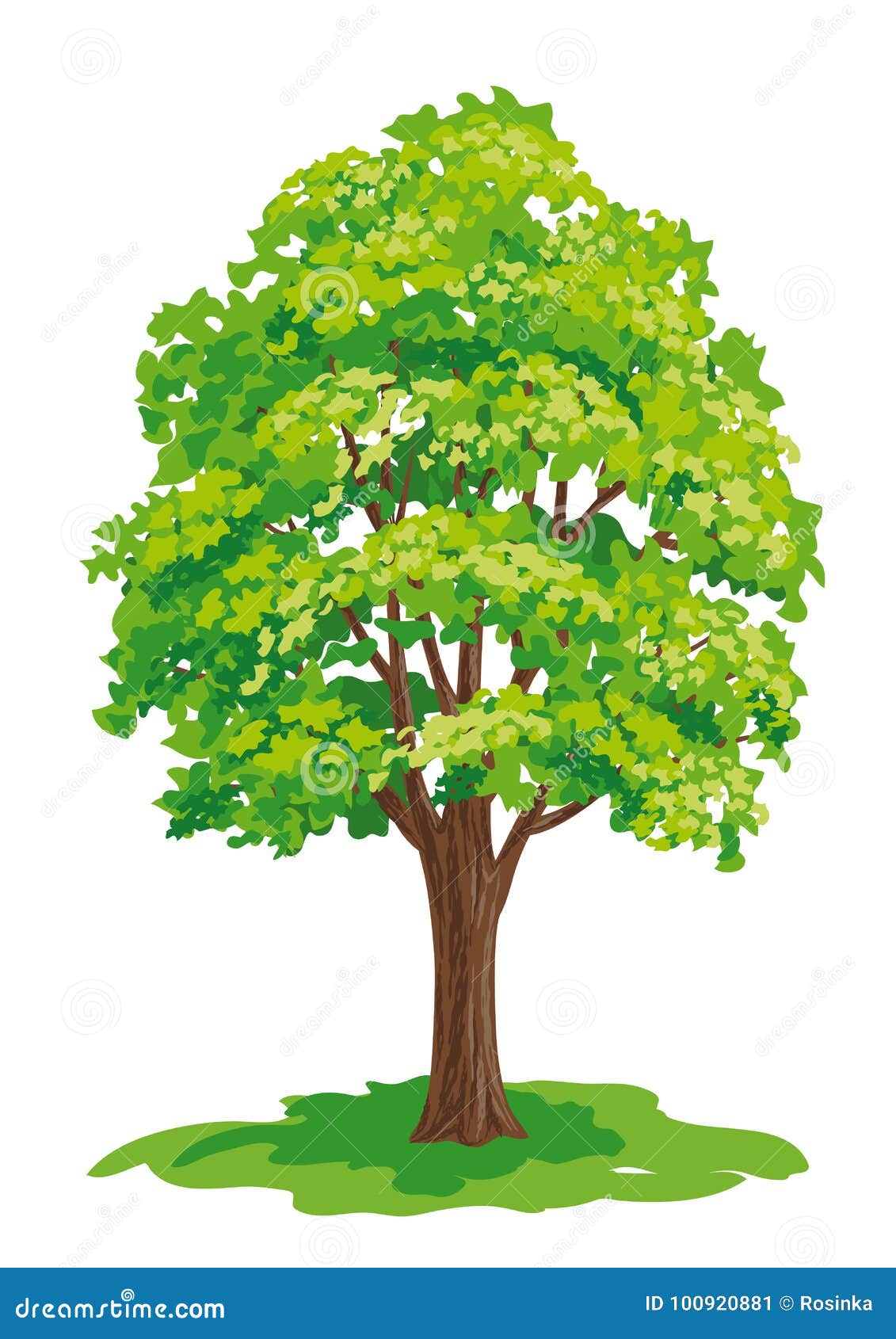 Dessin De Vecteur D'arbre D'érable Illustration de Vecteur ...