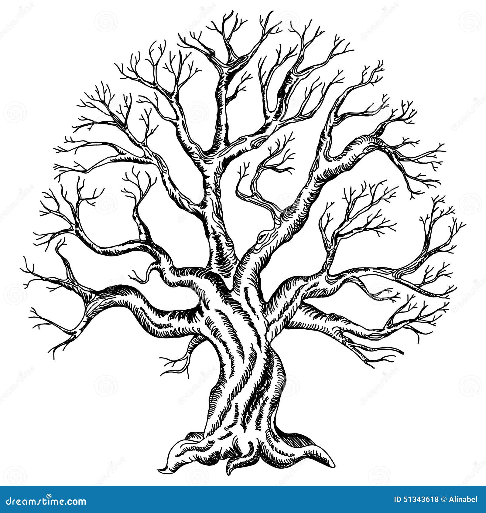 Dessin De Vecteur De L'arbre Illustration de Vecteur - Image: 51343618