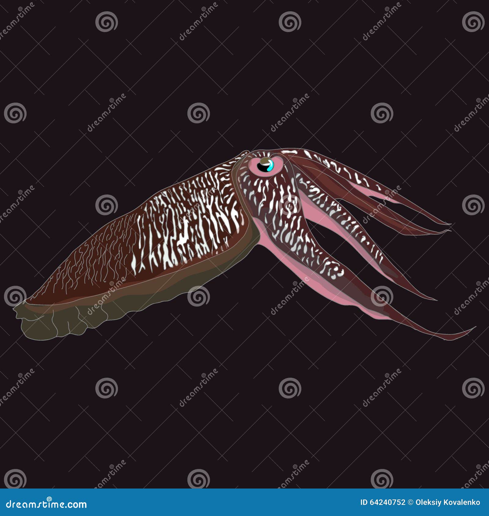 Dessin De Vecteur De Seiches Illustration de Vecteur - Illustration du ...