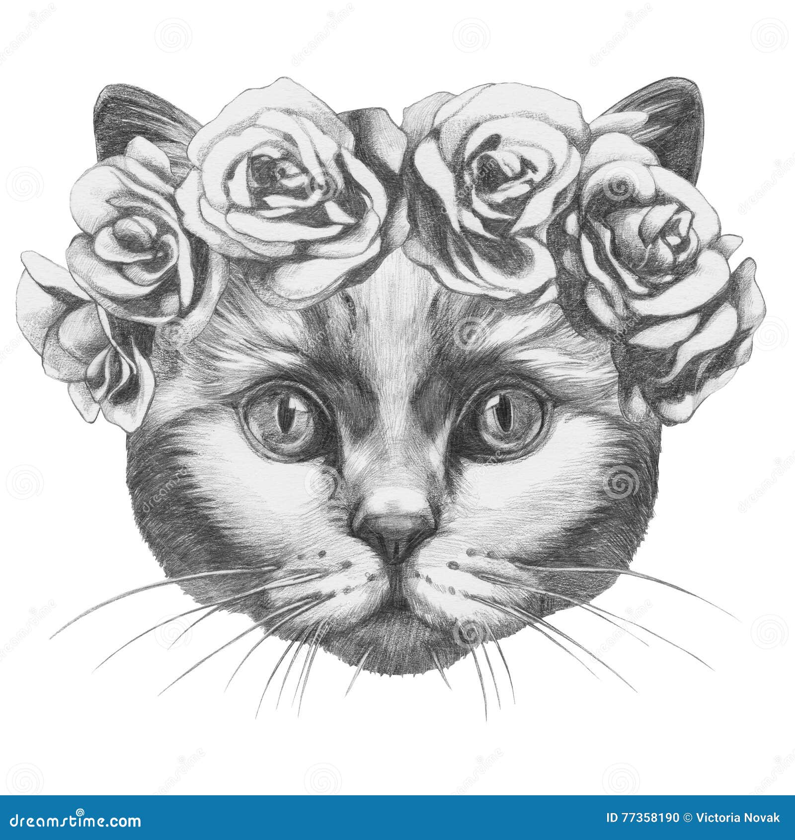 Dessin Original De Chat Avec Des Roses Illustration Stock ...