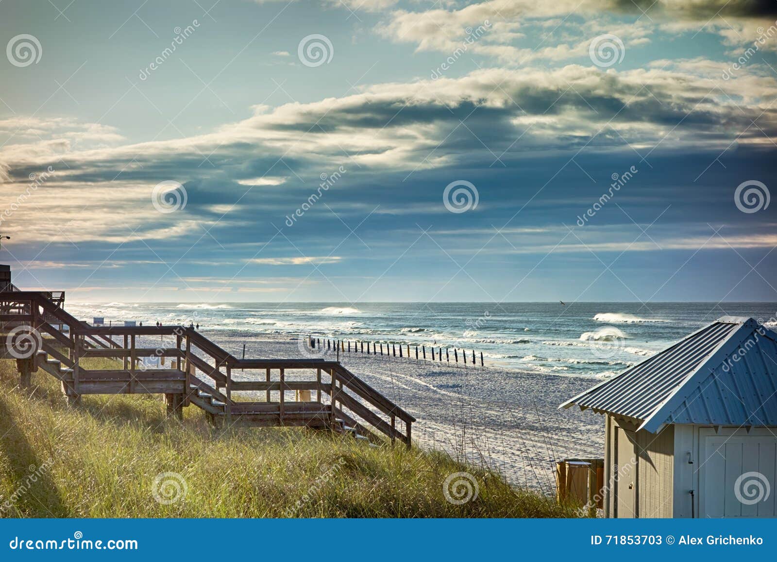 Destin Florida Beach Scenes Stock Image - Image of resort, heron: 71853703