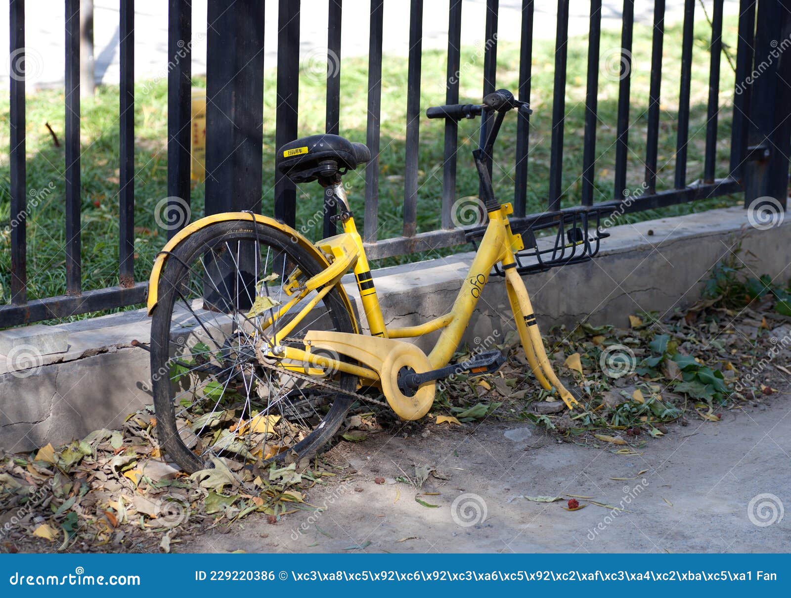 Destroy an Abandoned Shared Bicycle Stock Photo - Image of destruction ...