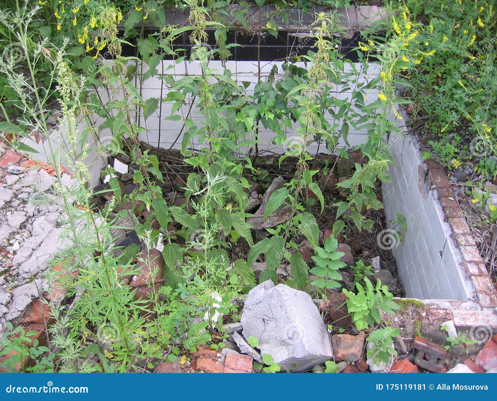 Destroyed Base of the Building Unfinished Foundation Abandoned in the ...